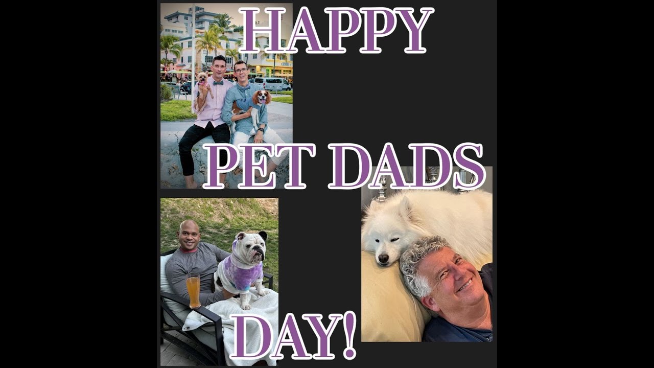 Happy PET Dad Day - YouTube