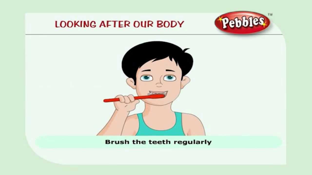 Our Body | Science Basics For Children | Science Projects for Kids ...