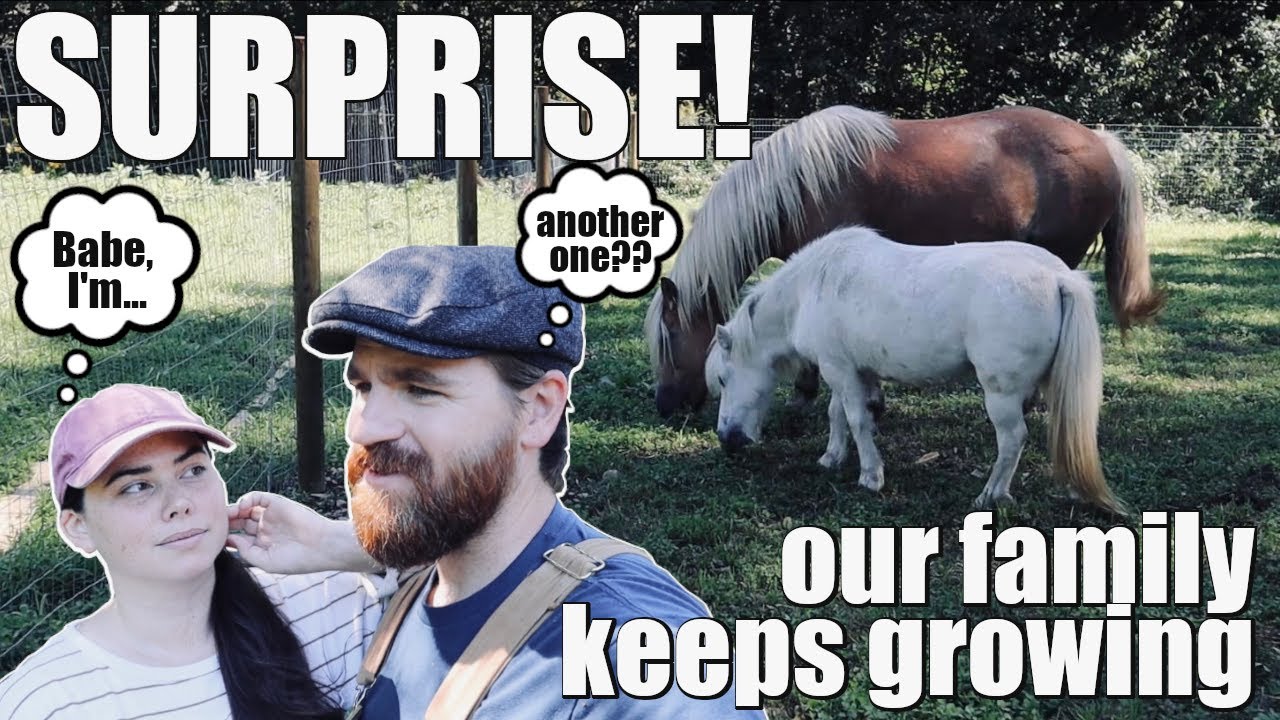 WE ARE ADDING TO OUR FAMILY ONCE AGAIN! | FUTURE HOMESTEAD | LARGE ...