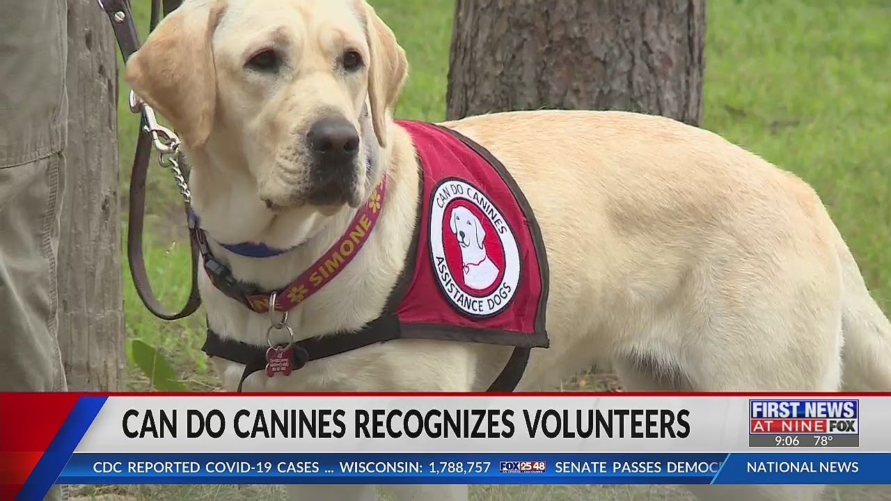 Can Do Canines highlights its volunteers - YouTube