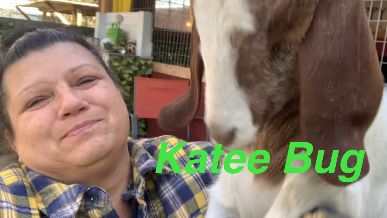 Katee Bug - YouTube