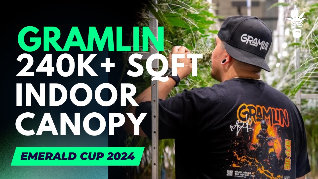 Gramlin - 240k+ SQFT of Indoor @ Emerald Cup 2024 - YouTube
