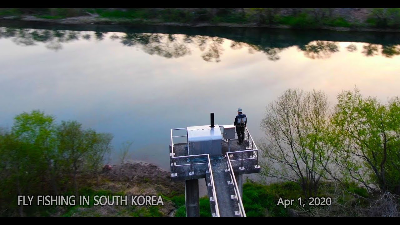 Fly fishing - Episode 32 - Fly fishing in won dong cheon - YouTube