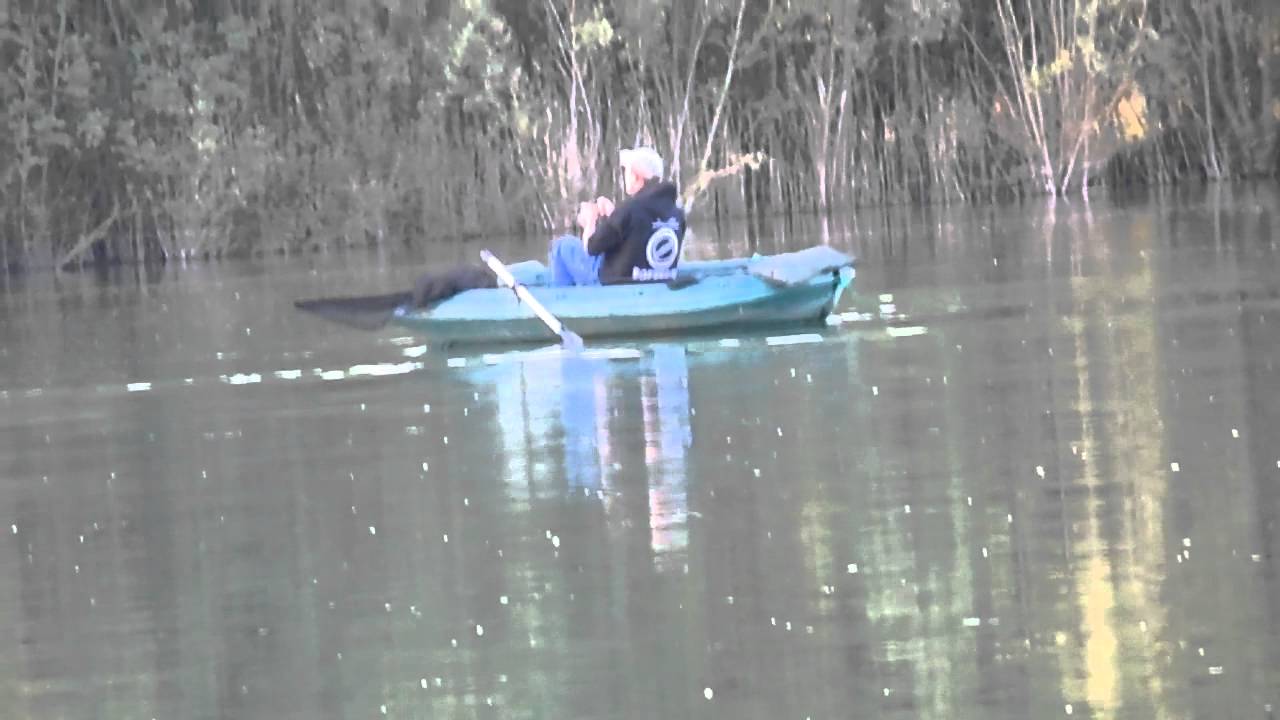 catfish / meerval boat dril Woodslake - YouTube