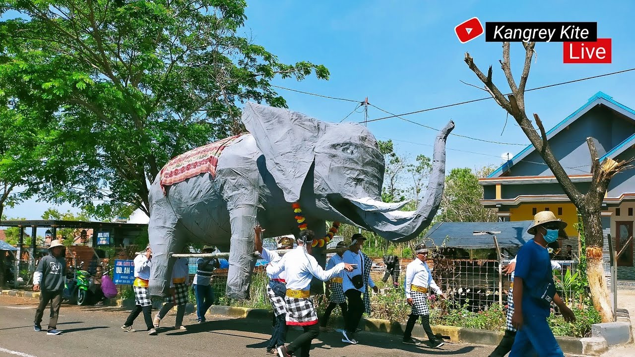 Live Pesona Karnaval Budaya Tuban 2022 Desa Wadung - YouTube