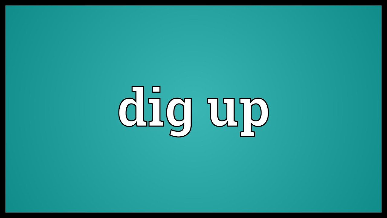 Dig Up Meaning YouTube