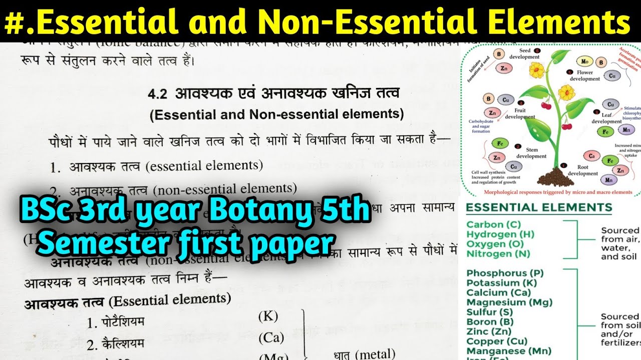 Essential and Non-essential Elements in Plants || BSc 3rd year Botany ...