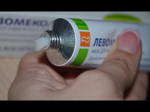 ეს მალამო ნამდვილი მონაპოვარია, თუმცა ყველამ არ იცის მისი თვისებები და სწორად გამოყენება ▶️ GOGA.TV