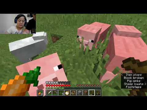 we're lost (Minecraft java edition with time Stop mod pt.7