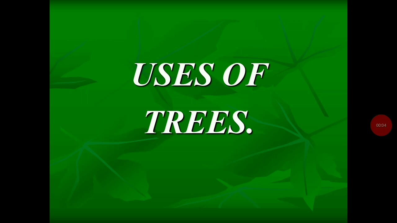 Essay On Uses Of Trees YouTube essay-on-uses-of-trees-youtube