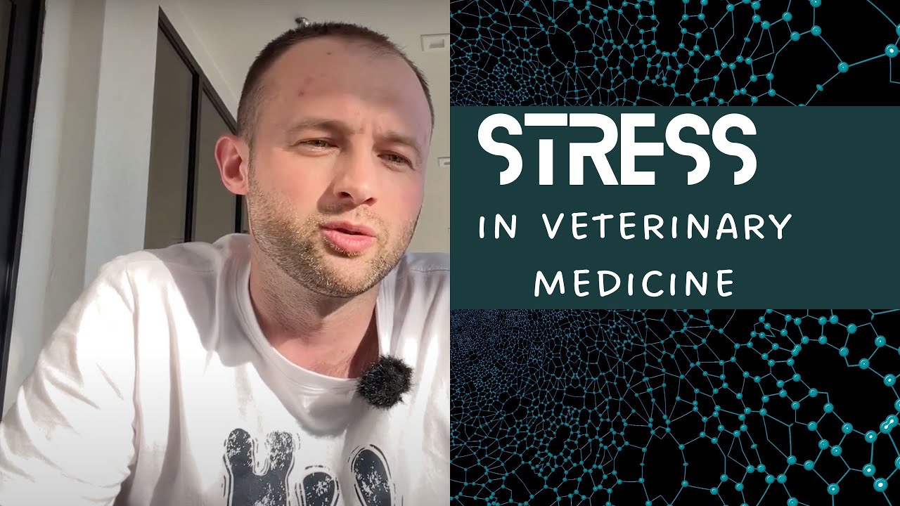 How to avoid stress in veterinary medicine - YouTube