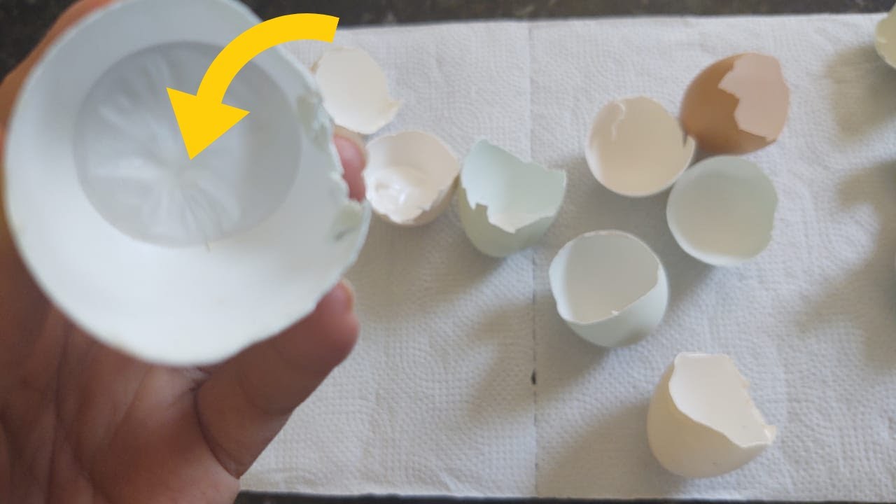 Encontrada na CASCA do OVO e importante para sua SAÚDE - #01 ...