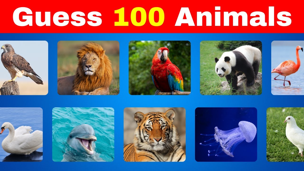 Guess 100 animals in 3 seconds - YouTube