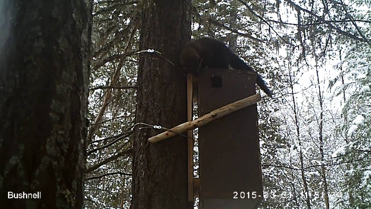 2015 Fisher Denbox Kits - YouTube