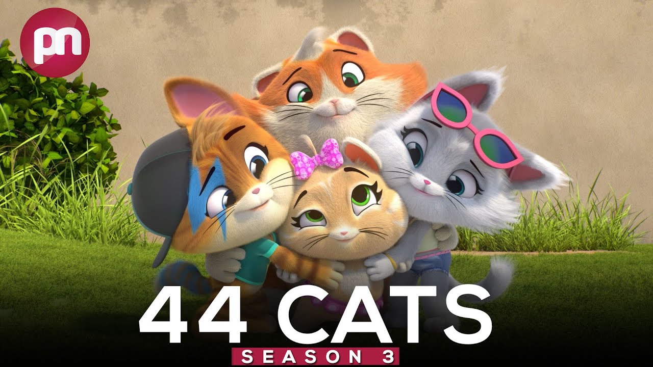 44 Cats Season 3: Happen To Soon On Netflix? - Premiere Next - YouTube