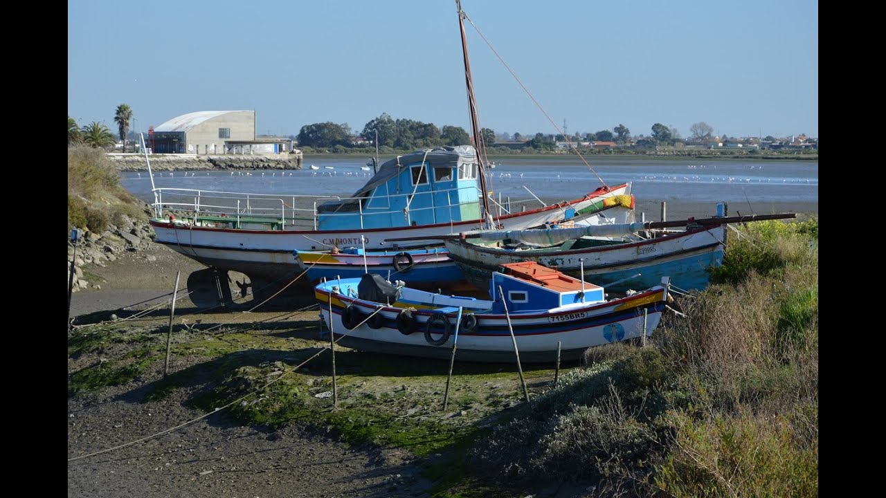 Montijo-Entrevista Pescadores do Montijo-Portugal - Parte II - YouTube