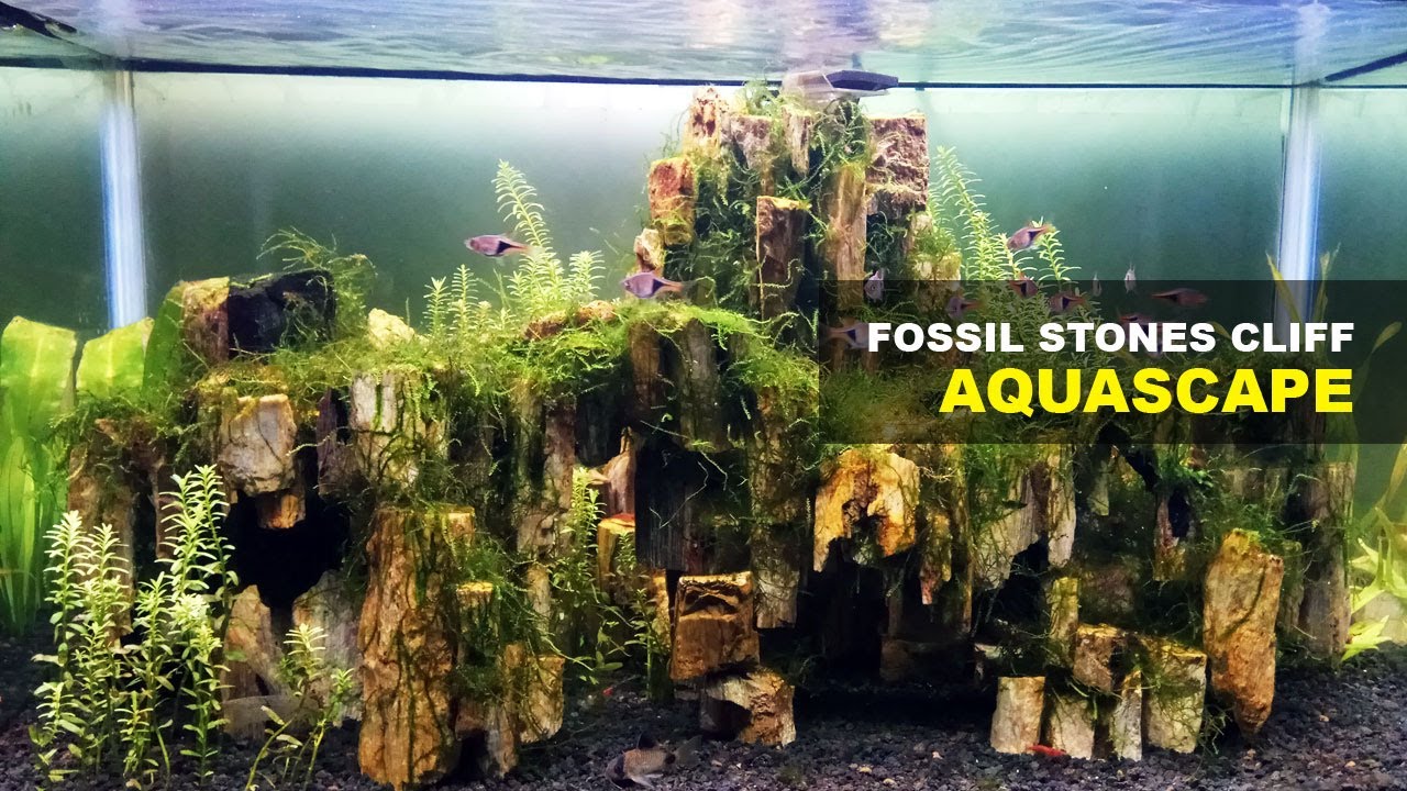 Fossil Stones Cliff Aquascape Decoration | Artificial Stone Cliff ...