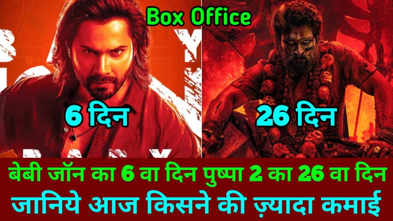 Pushpa 2 Vs Baby Jhon Box Office Collection | Baby Jhon Box Office ...