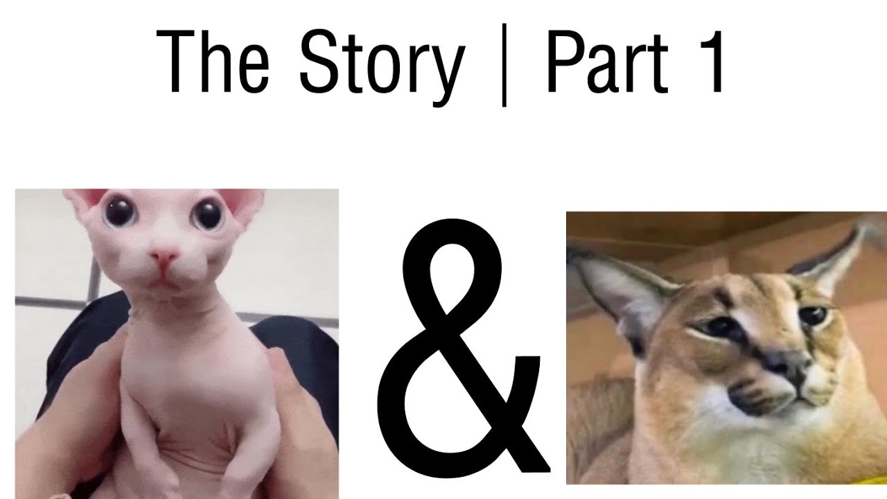 The Bingus & Big Floppa Story | 1 - YouTube