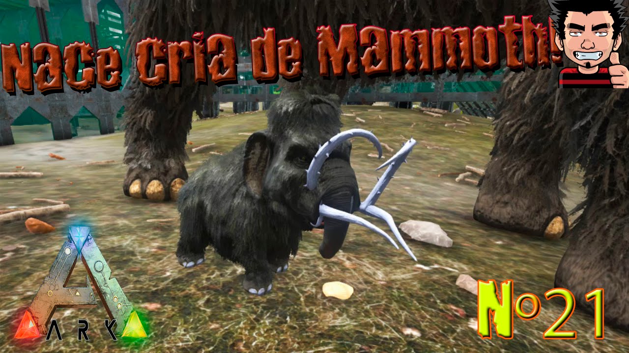 Ark Survival Evolved Criamos Mammoth Baby nace nuevo dinosaurio en ARK ...