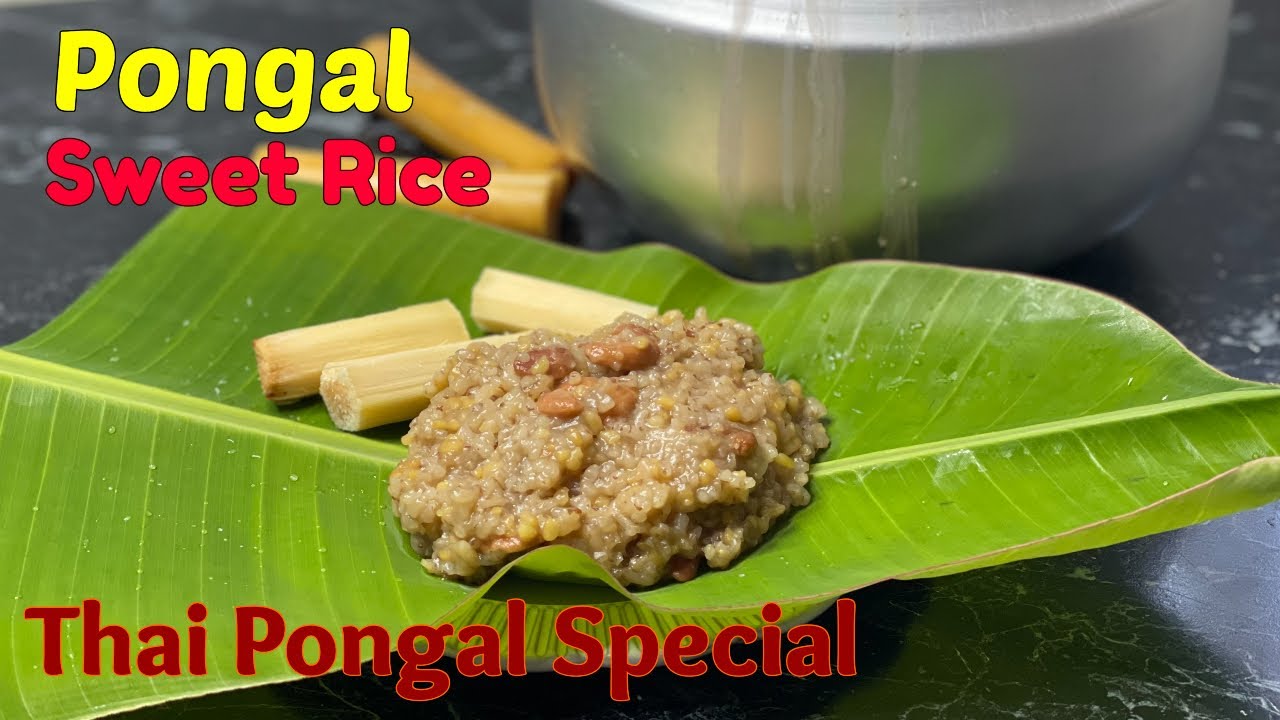 Thai Pongal | Sweet Rice | PONGAL CELEBRATION | How to cook Pongal ...