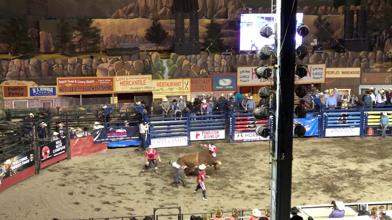 Pendleton Rodeo Bull Riding for Adrenalin Junkies - YouTube