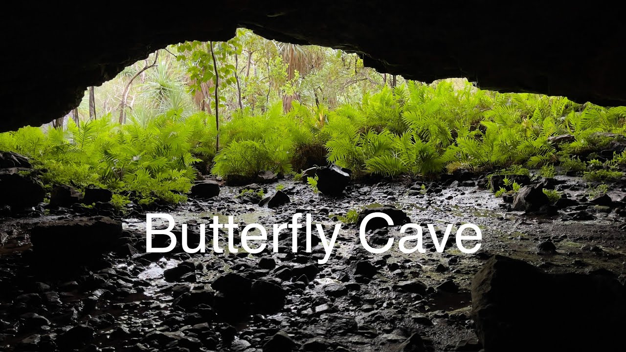Butterfly Cave - Kununurra - YouTube