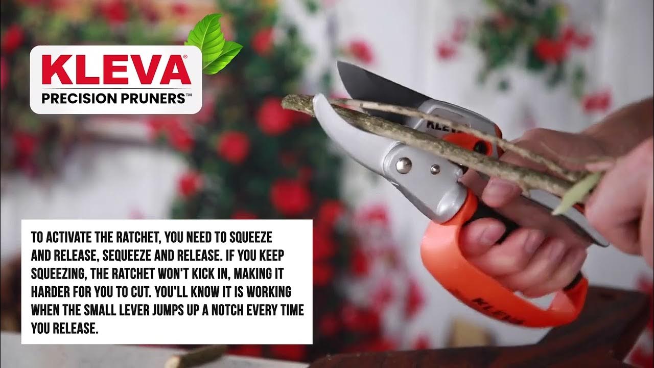How To Use The Ratchet System In Kleva Pruners - A Detailed Guide | KlevaRange.com.au - YouTube