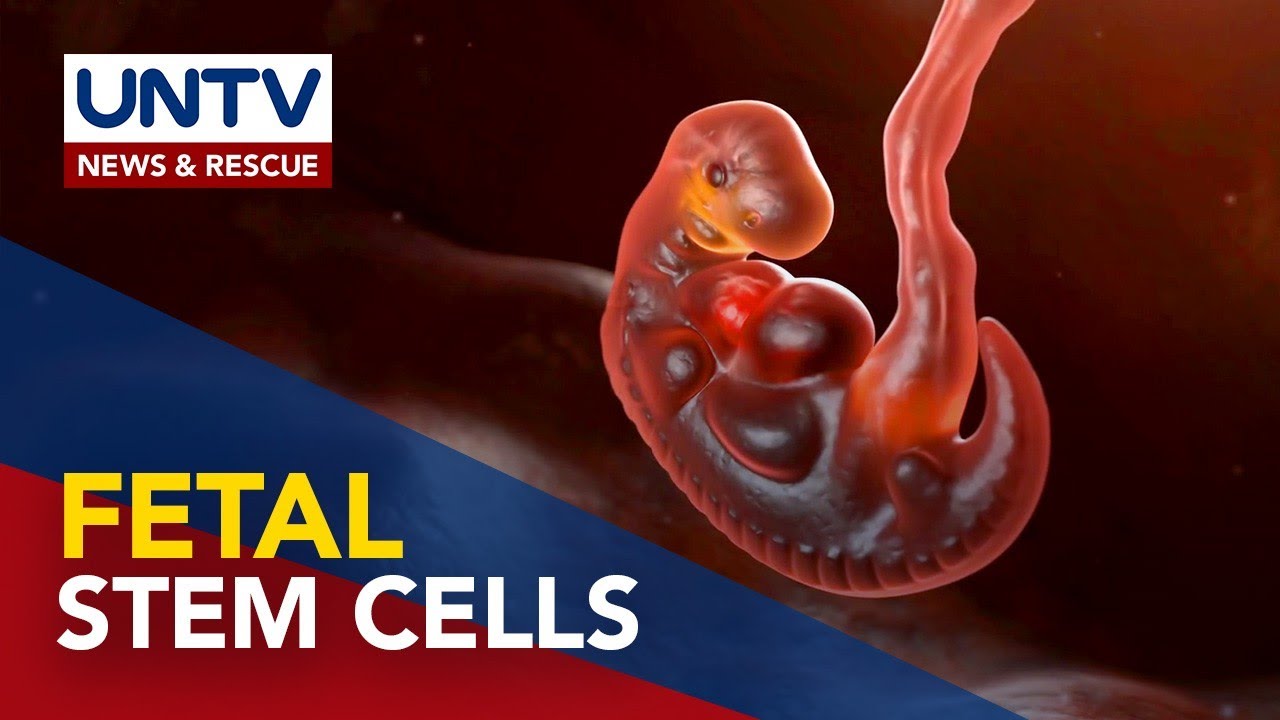 Huwat Trivia: Fetus Stem Cells Maaaring Makatulong sa Ina - YouTube