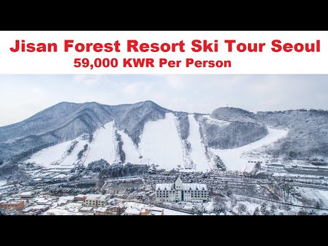 Jisan Forest Resort Ski Tour from Seoul | 4K UHD Seoul South Korea