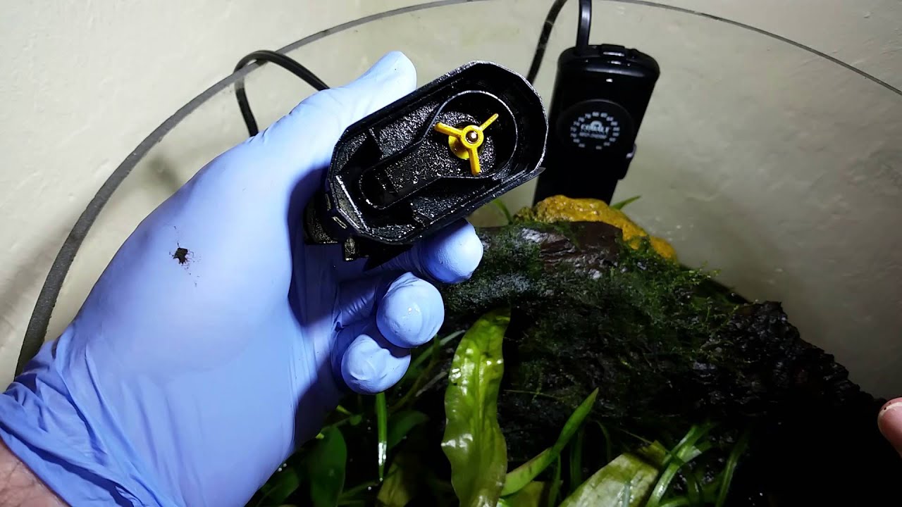 Pumice Filtration Tutorial Part 2/2 - YouTube