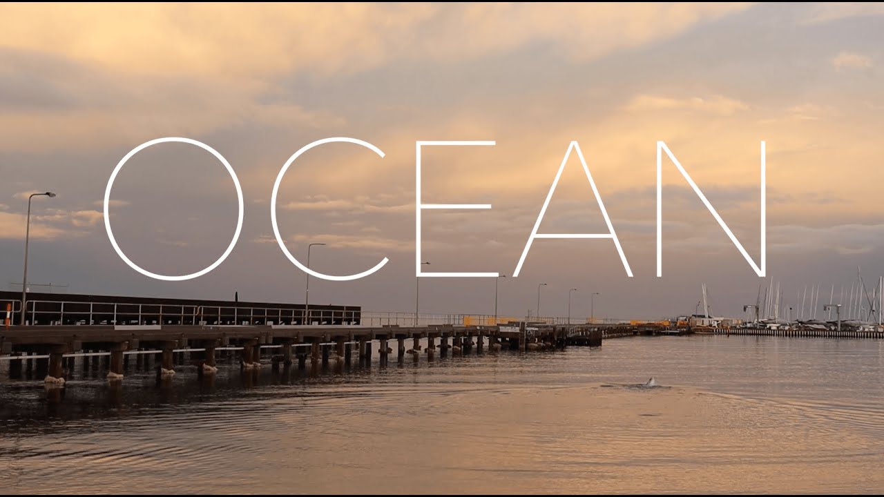 Ocean | VCE media 2022 documentary - YouTube