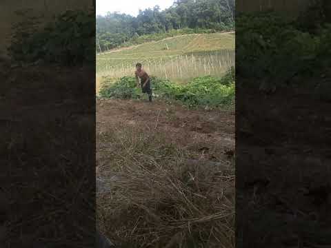 Kocak bikin sakit perut