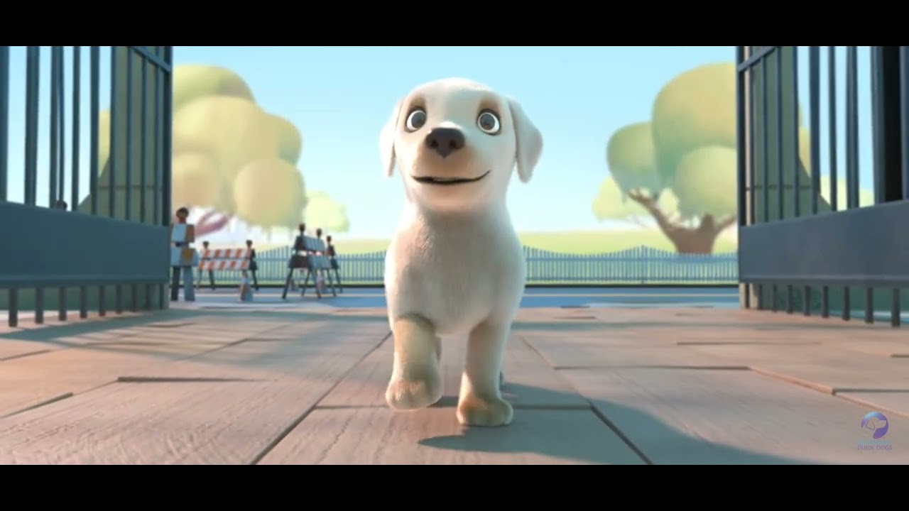 Canine University - YouTube