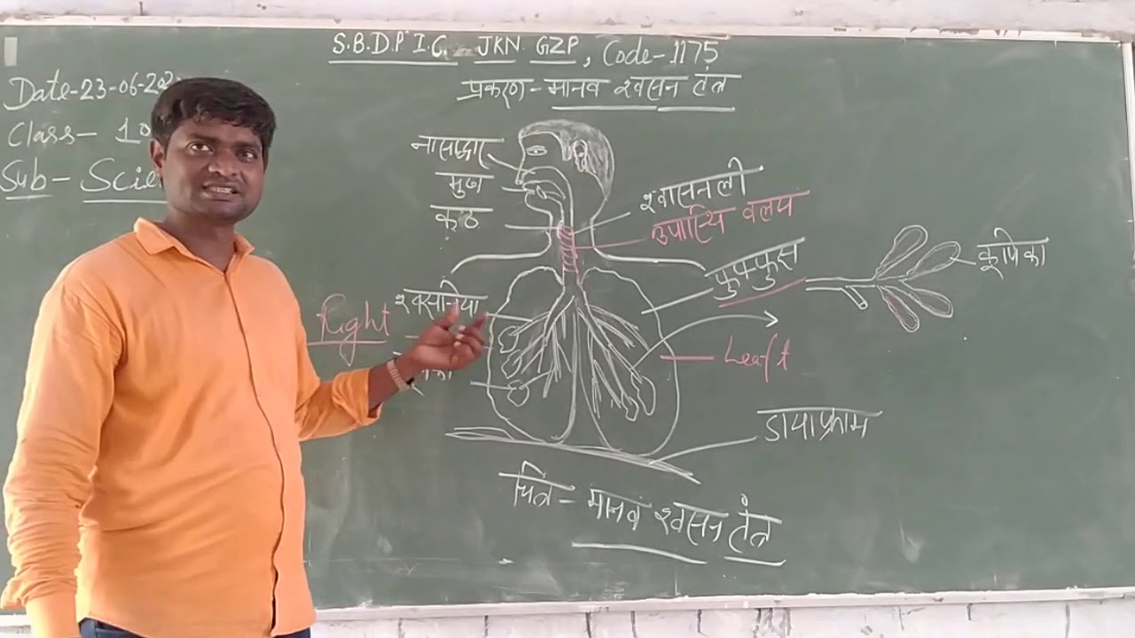 biology class 10th part 1 - YouTube