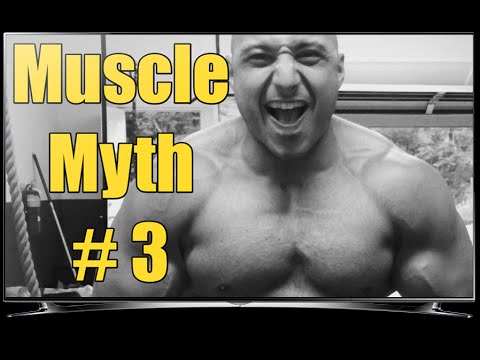 Muscle Myth 3 - One Muscle Group Per Day for More Muscle Mass? - YouTube