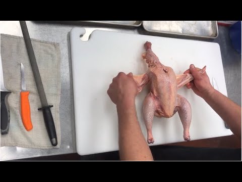 Dan shows us how he cuts up a whole chicken.