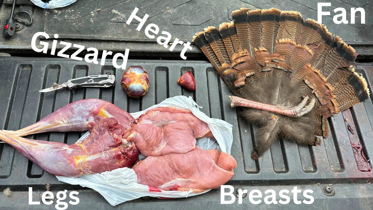 How to clean a Turkey with ZERO Waste - YouTube