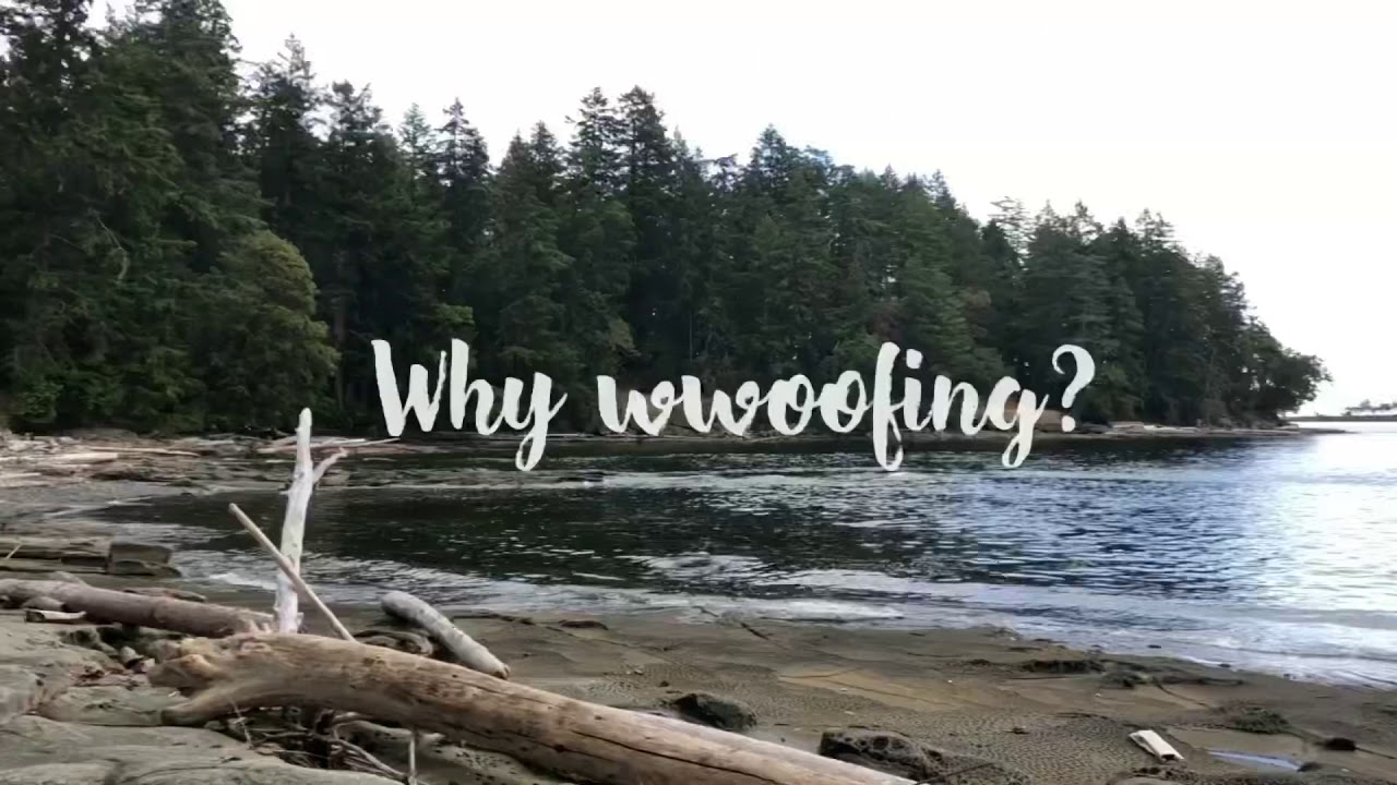 WWOOF Canada Video Contest Entry 2020 | ウーフ カナダ - YouTube