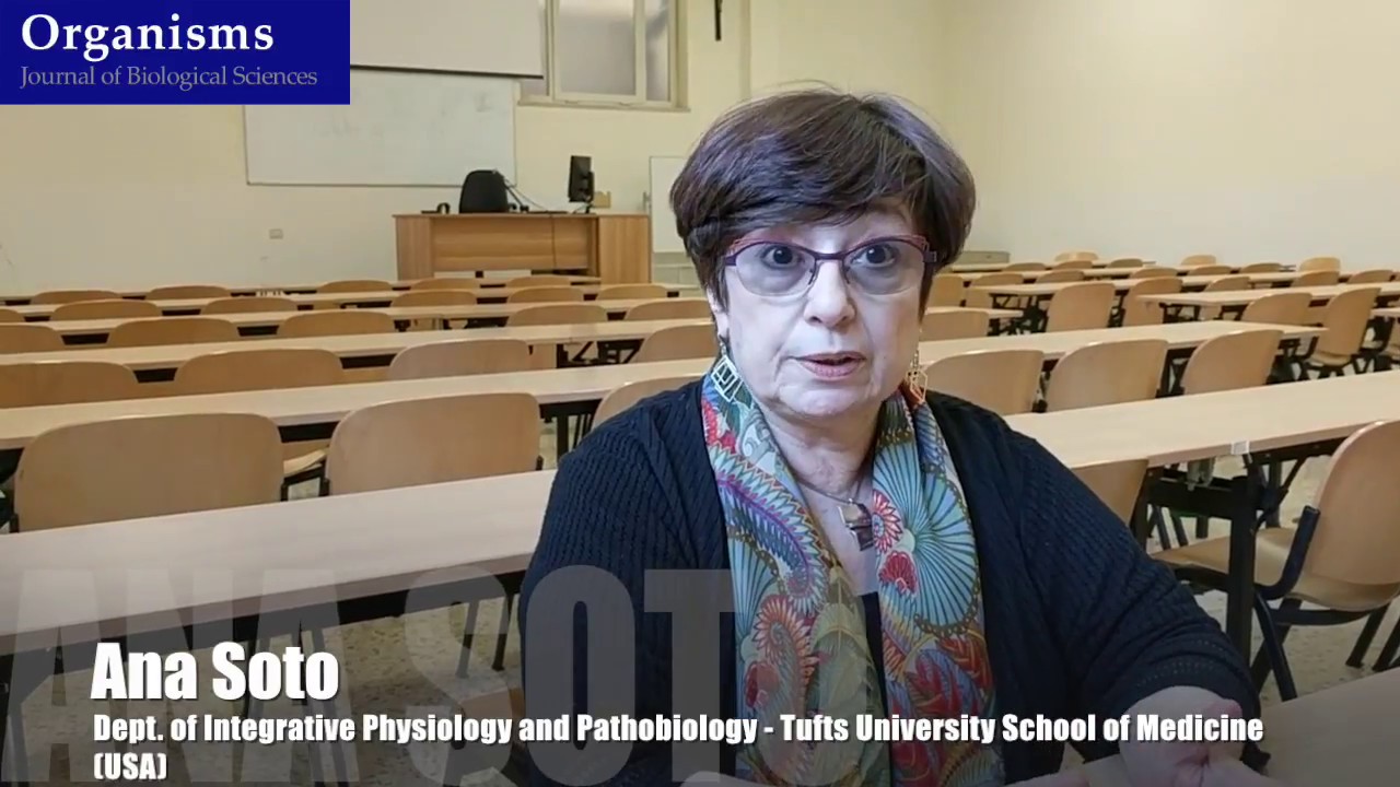 Ana Soto - From Gene to Organism - YouTube