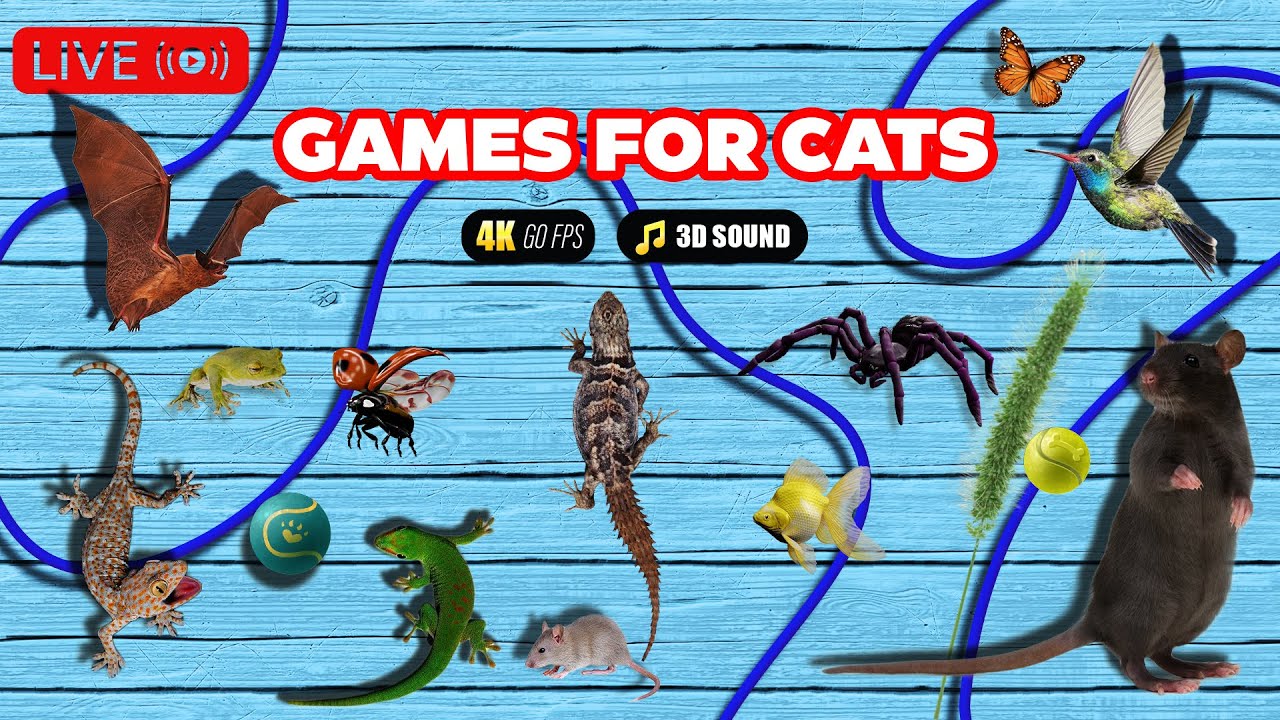 24/7 Live CAT GAMES Ultimate Hunting GAME FOR CATS Mice, Lizard ...