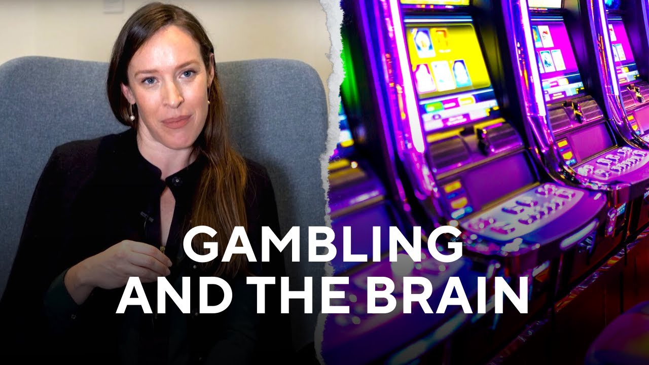 What's happening in the brain when you gamble | Psychologist Zoe ...