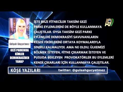 Gezi Parkında kimler demokrasiden yana? - Gülşah Güçyetmez