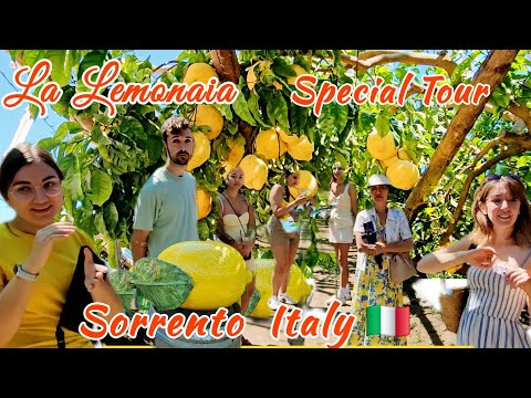 La Lemonaia: „Bar Restaurant“ Sorrent, Italien