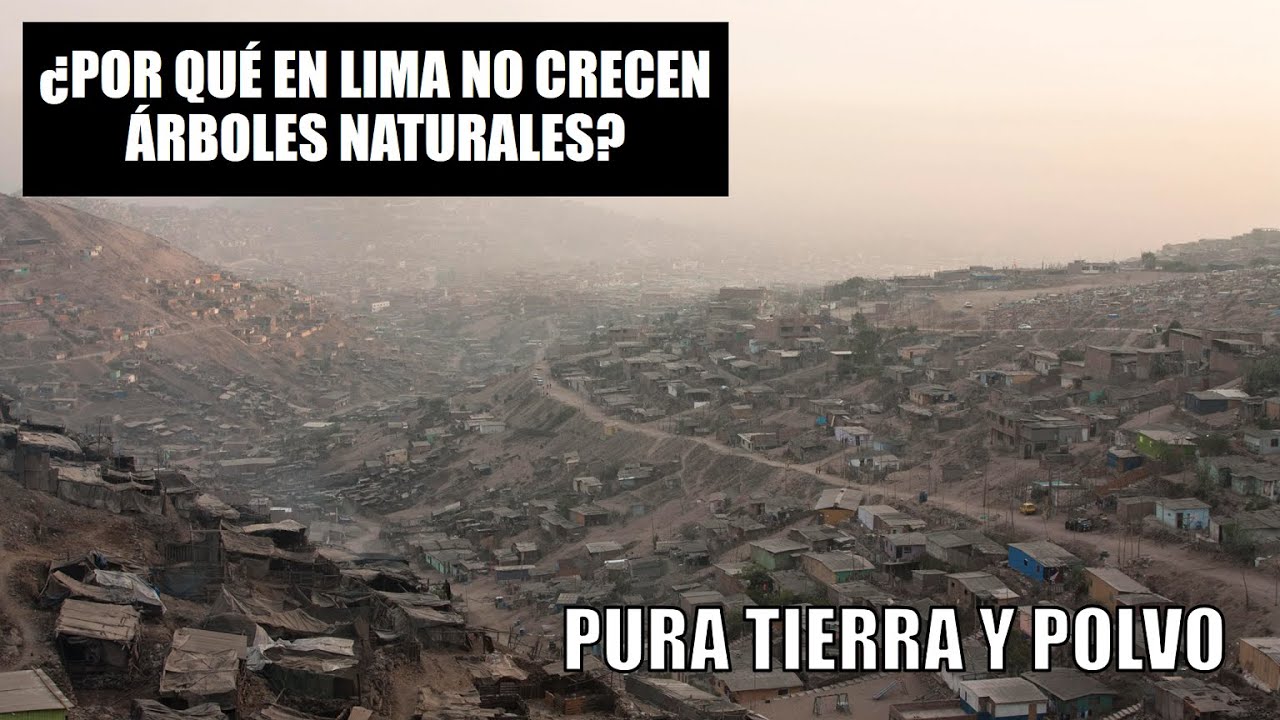 ¿Por qué Lima se ve así? (Sin árboles) 😱 - YouTube