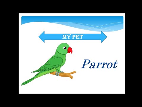 English class 1//My pet//My pet essay for kids// - YouTube