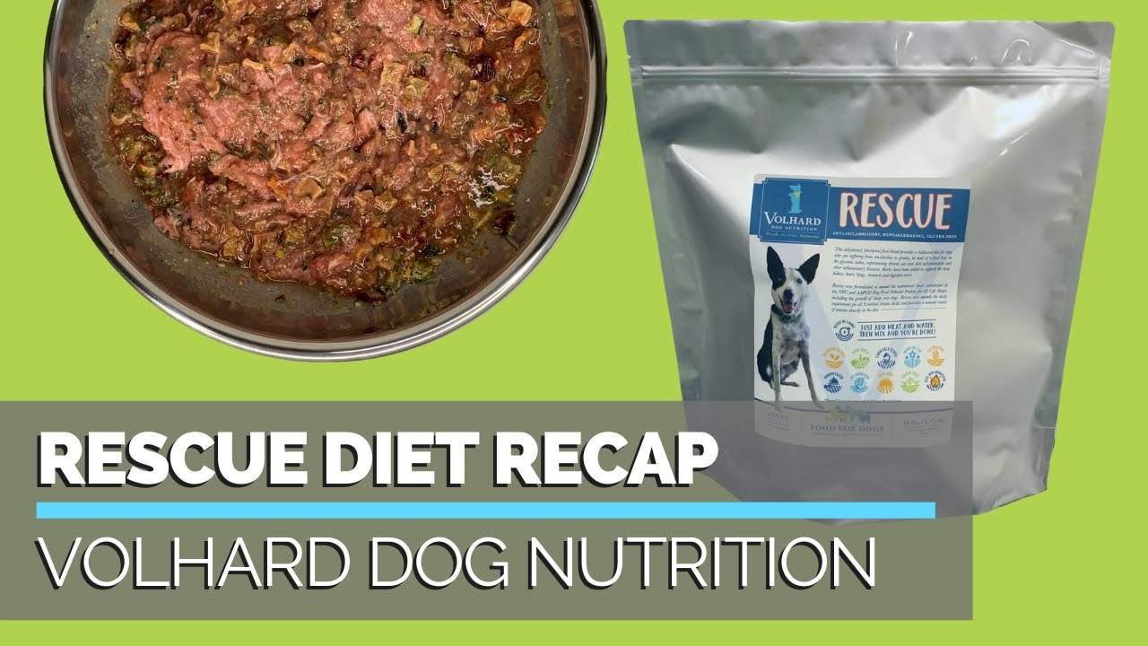 Hypoallergenic, Gluten-Free Fresh Dog Food - Rescue Diet Recap - YouTube
