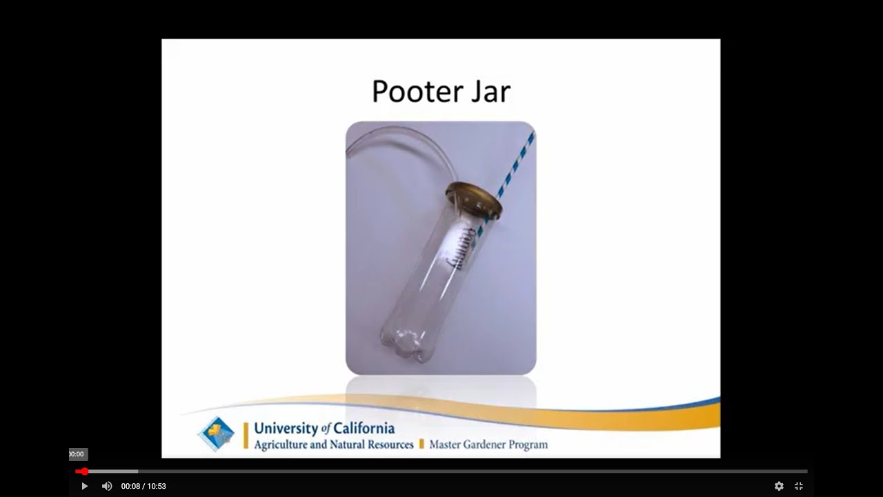 Pooter Jar - YouTube