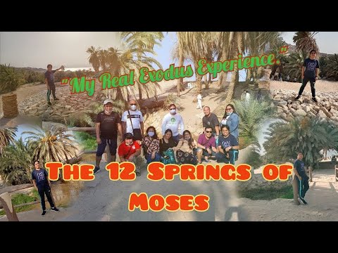 Tabuk Escapade 2021 "My Real Exodus Experience." THE 12 SPRINGS OF ...