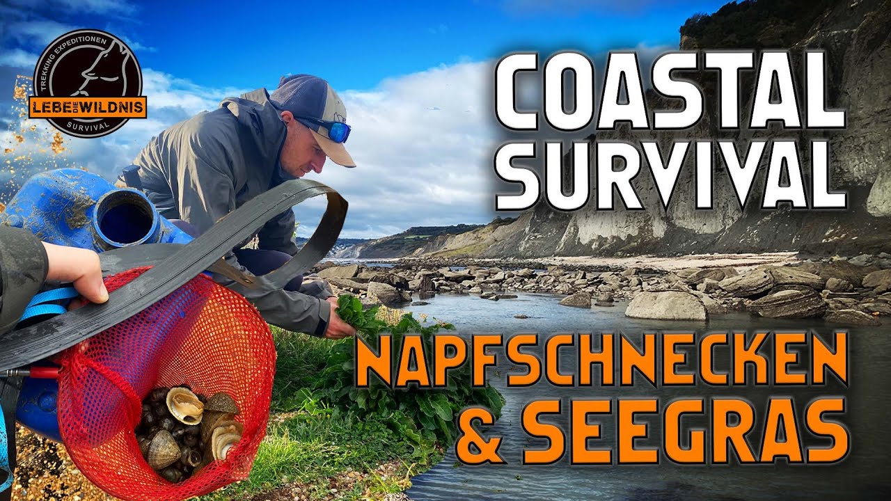 NAHRUNG an der KÜSTE finden⎥Coastal Survival Training Tag 1, Survival ...